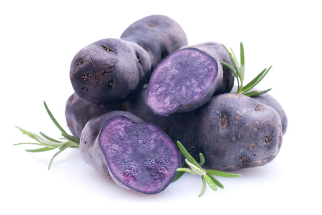 Foodtrend lila Gemüse - bunt und gesund